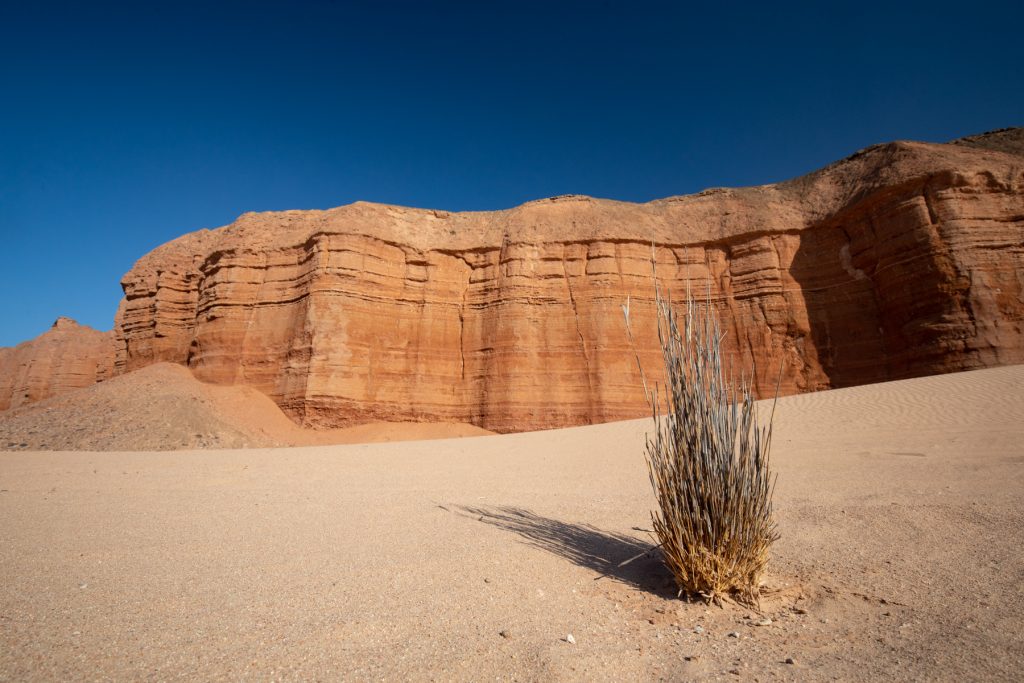 Angola Tribal Photography: Behind the Scenes with Wild Images