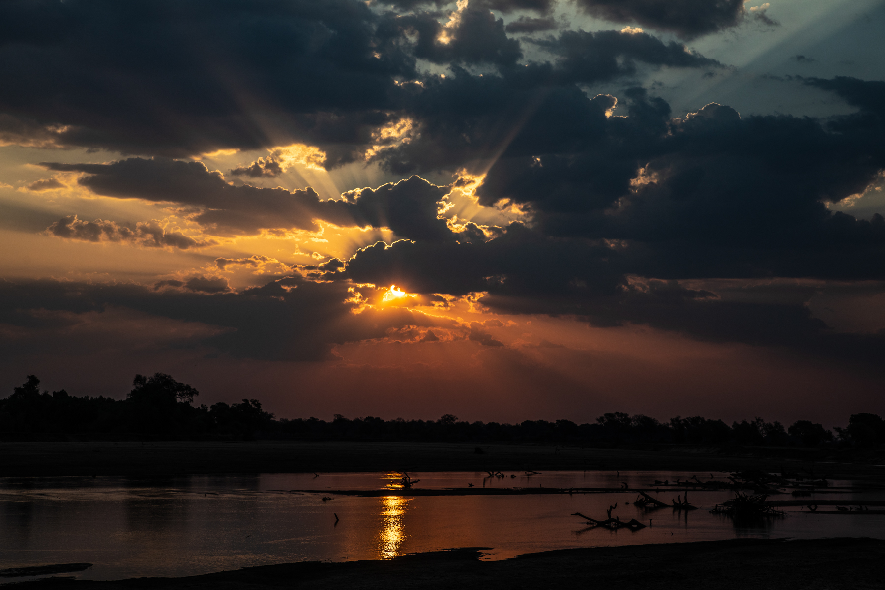 Wild Images Photography Tours | South Luangwa Photography Tour - Wild ...