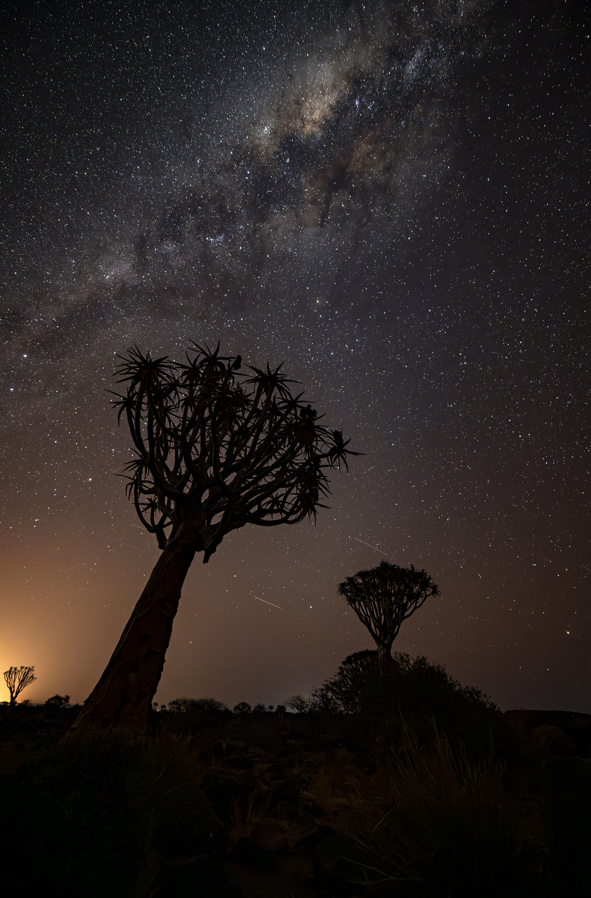 Wild Images Photography Tours | Namibia Photo Tours - Namibia Wildlife ...