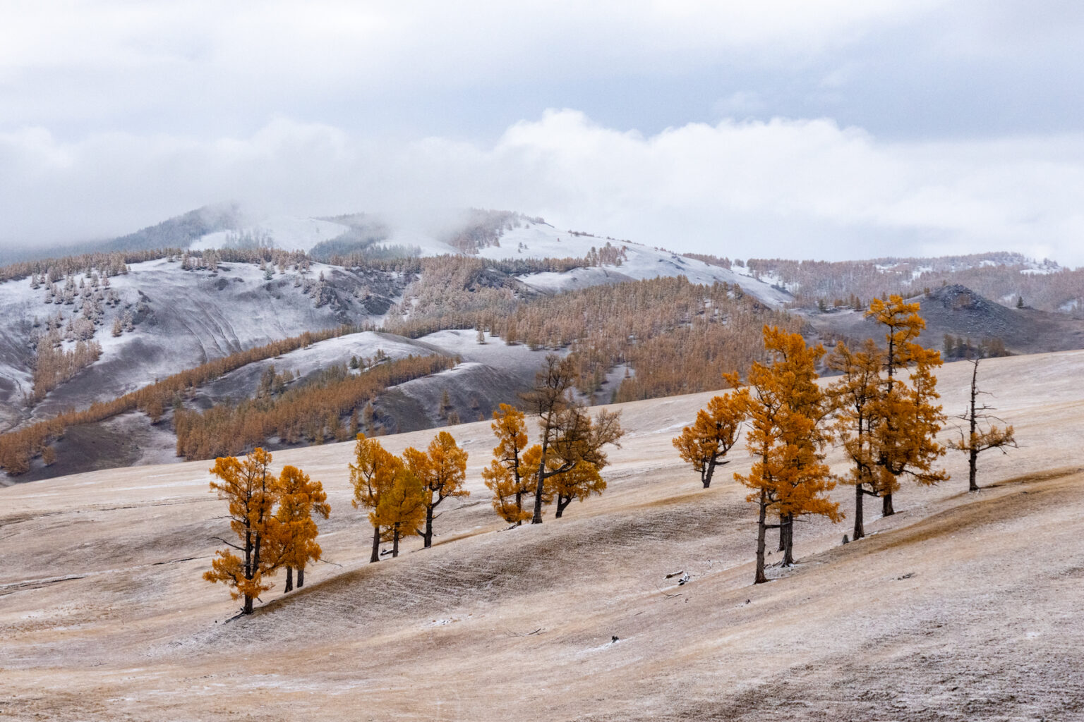 Mongolia's Forgotten Reindeer Herders: The Tsaatan Nomads of Hovsgol ...